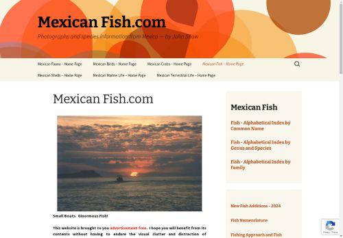Mexican-fish.com Review: Legit or Scam? [2025 New Reviews]